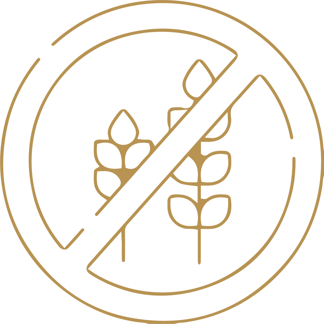 Immune Bio Green Cell - Immune System Support* - 2 Bottles Included ...