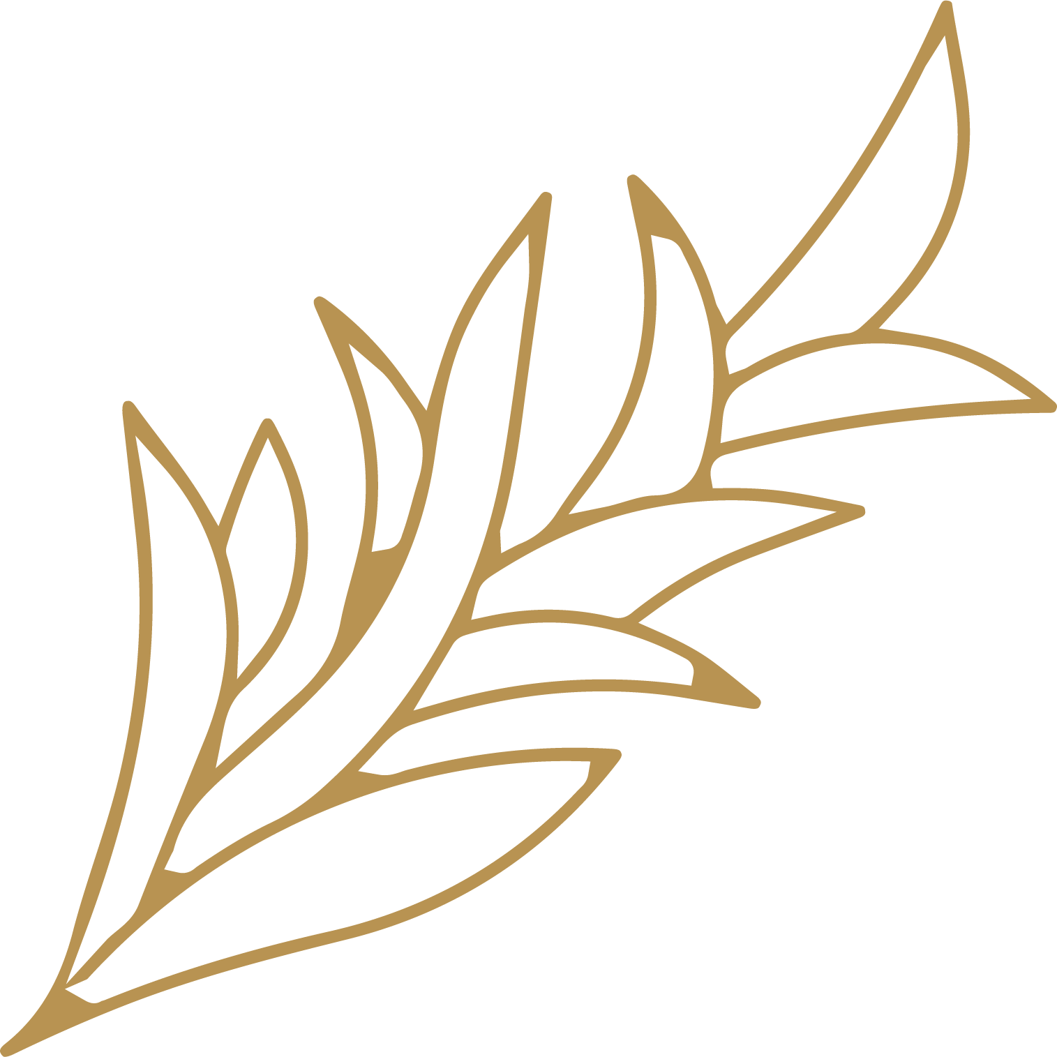 Immune Bio Green Cell - Immune System Support* - 2 Bottles Included ...